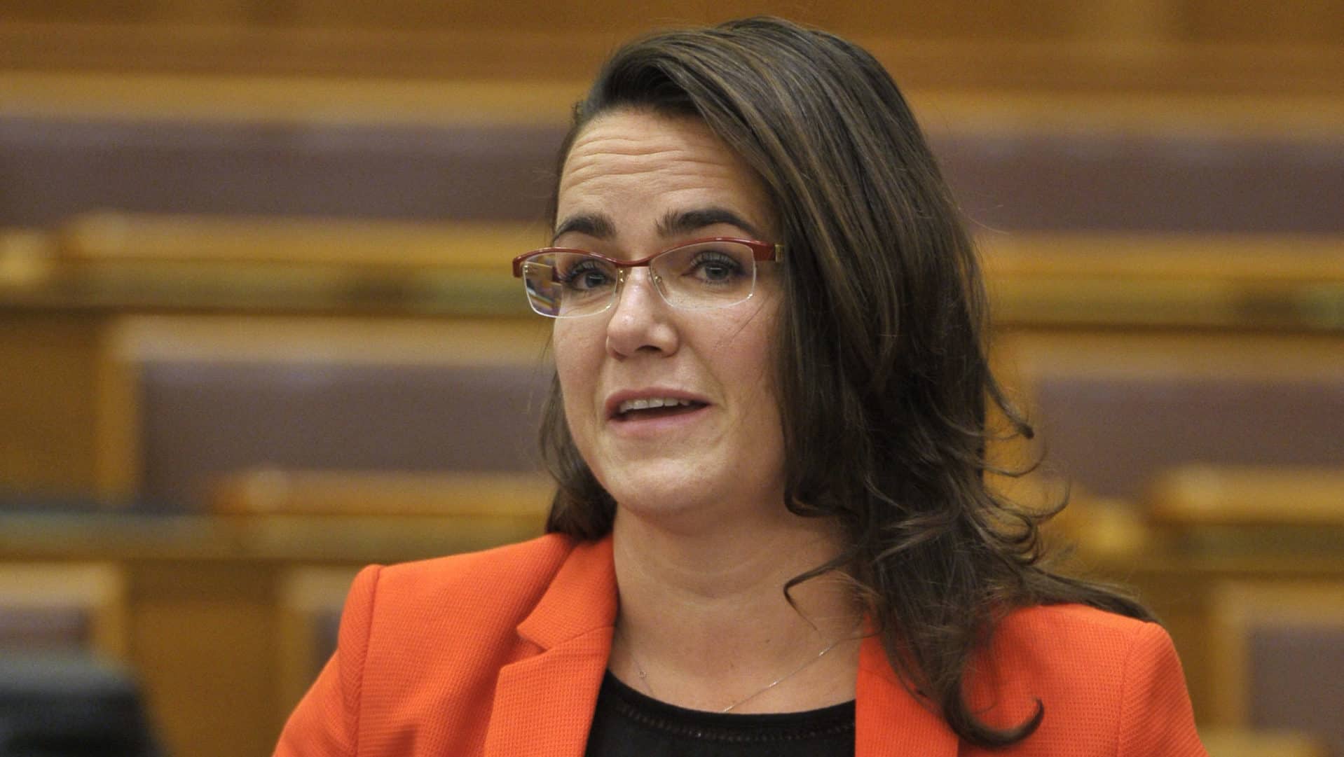 Egyszerűbb és gyorsabb örökbefogadás jön – Bocskai Rádió